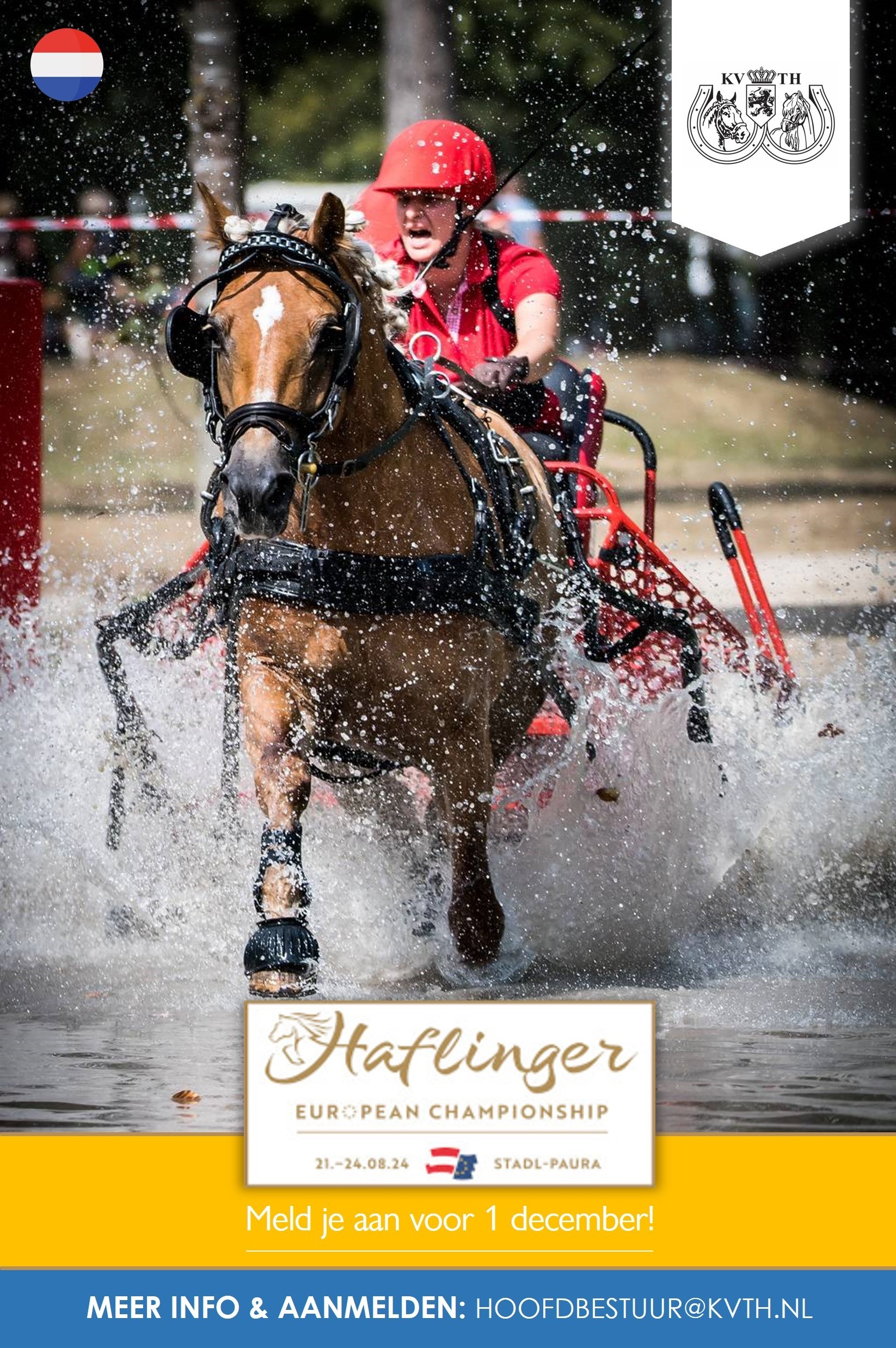 EUCH 2024 Livestream – KVTH